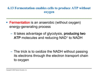 Chapter 6 cell energy [compatibility mode] | PDF