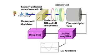 Chapter 6 - Electronic Spectroscopy of Molecules.pdf