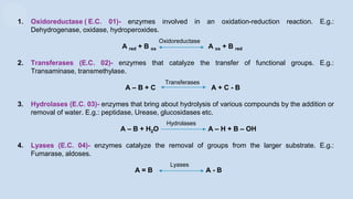 Enzyme | PPTX