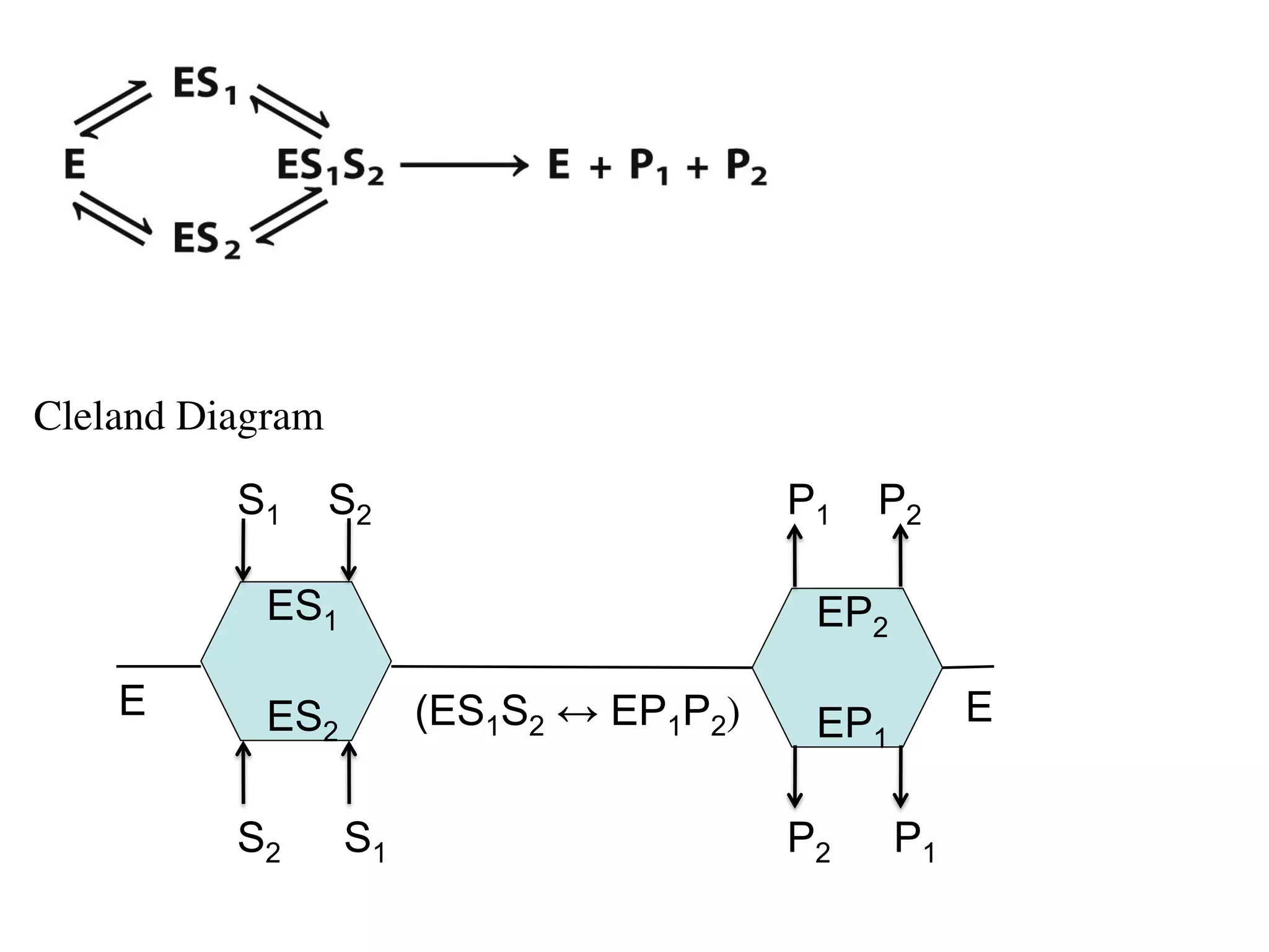Chapter-6 enzymes - Biochemistry | PDF