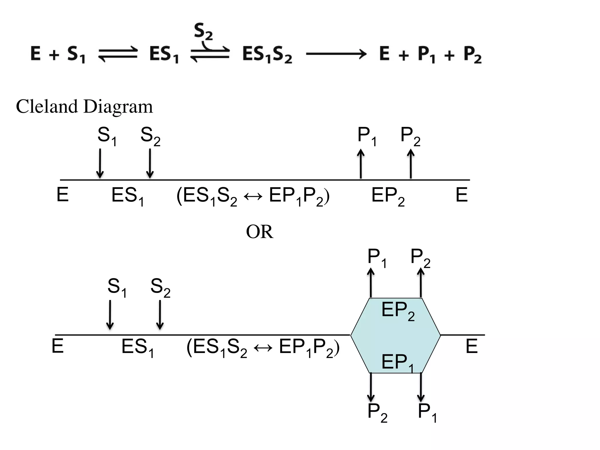 Chapter-6 enzymes - Biochemistry | PDF