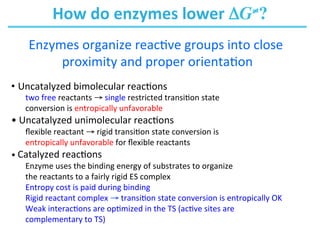 Chapter-6 enzymes - Biochemistry | PDF