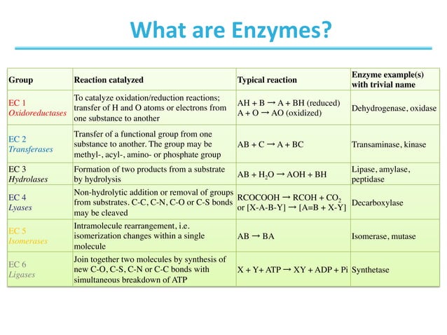 Chapter-6 enzymes - Biochemistry | PDF