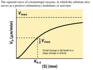 Chapter-6 enzymes - Biochemistry | PDF