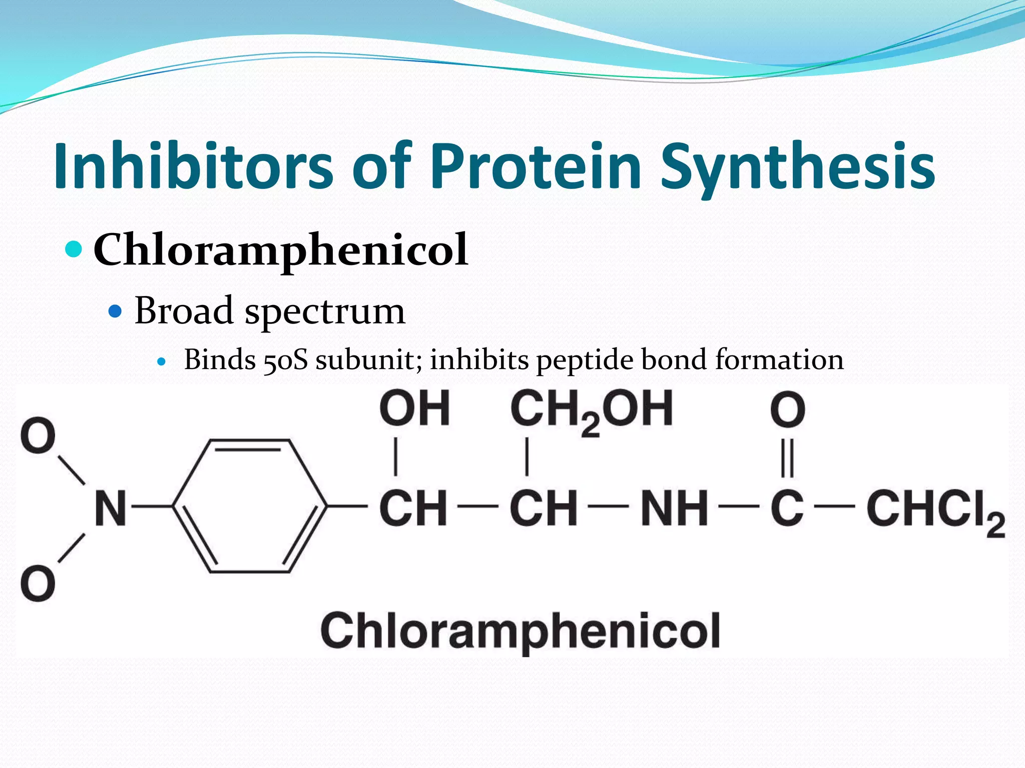 Chapter 6 inhibitors of cell wall synthesis | PPTX