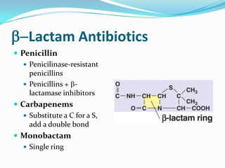 Chapter 6 inhibitors of cell wall synthesis | PPTX