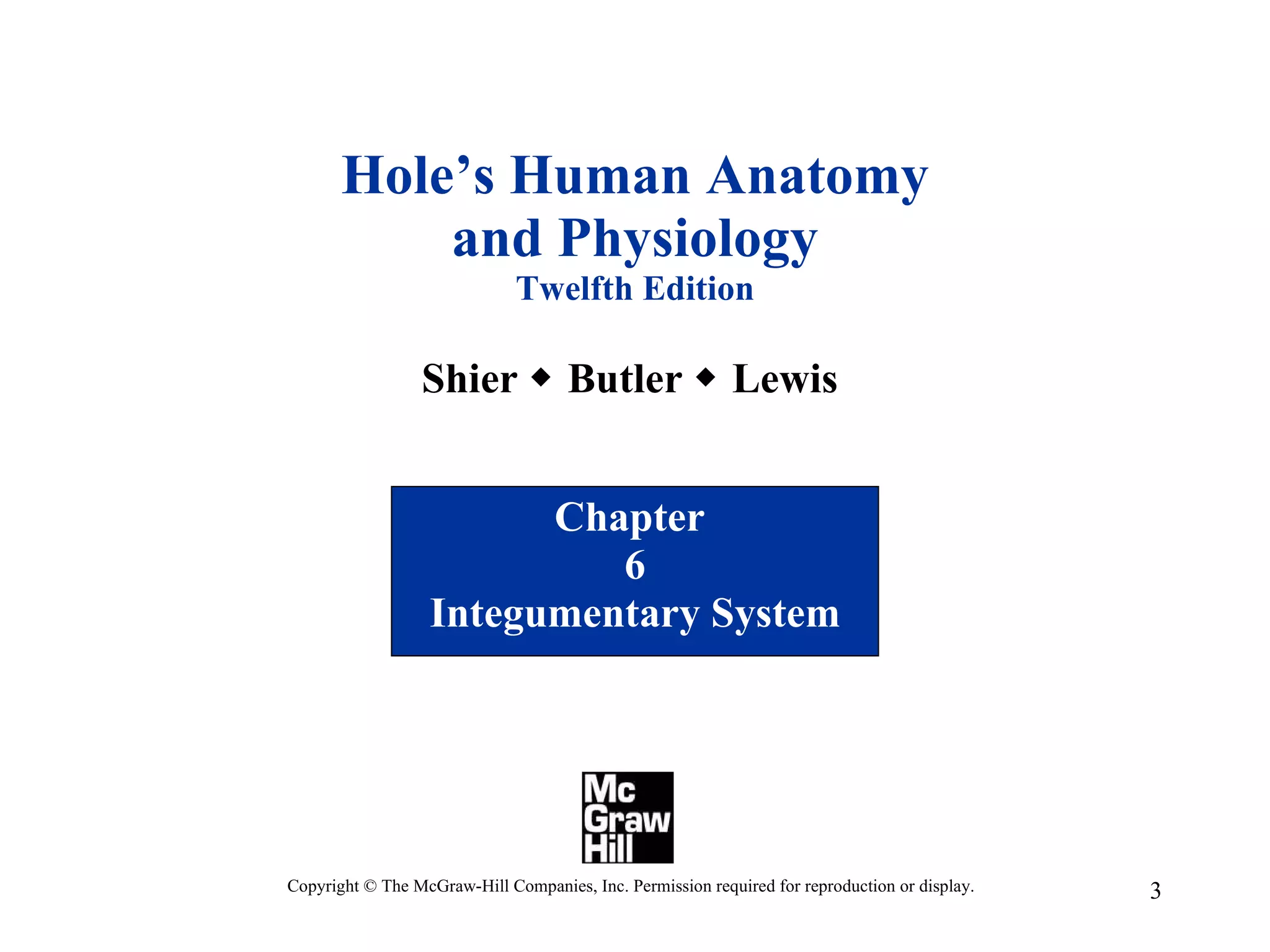 Chapter 6 integumentary system | PPT
