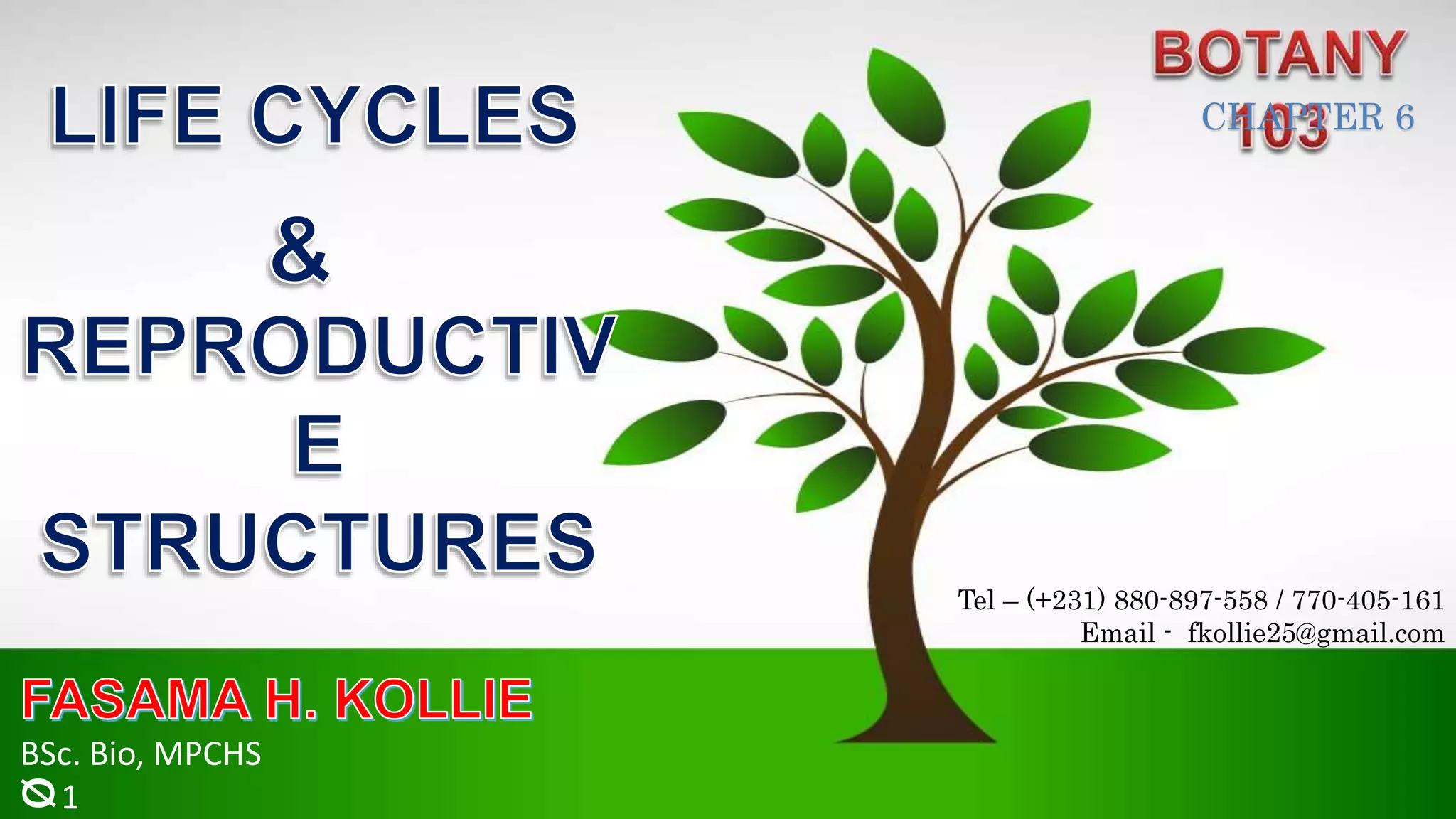 LIFE CYCLE AND REPRODUCTIVE STRUCTURES | PPTX | Infertility ...