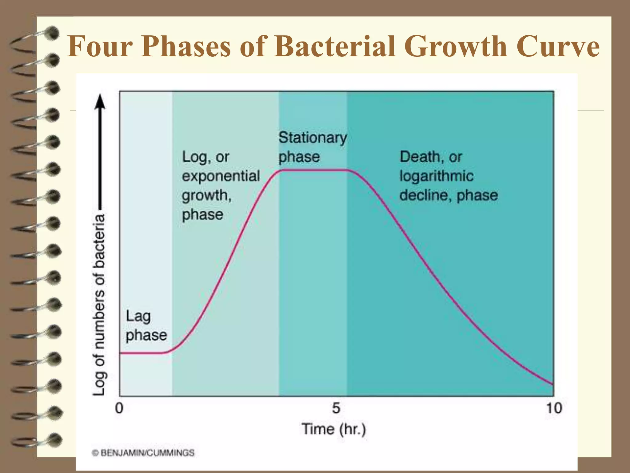 Chapter 6 - Microbial Growth.ppt