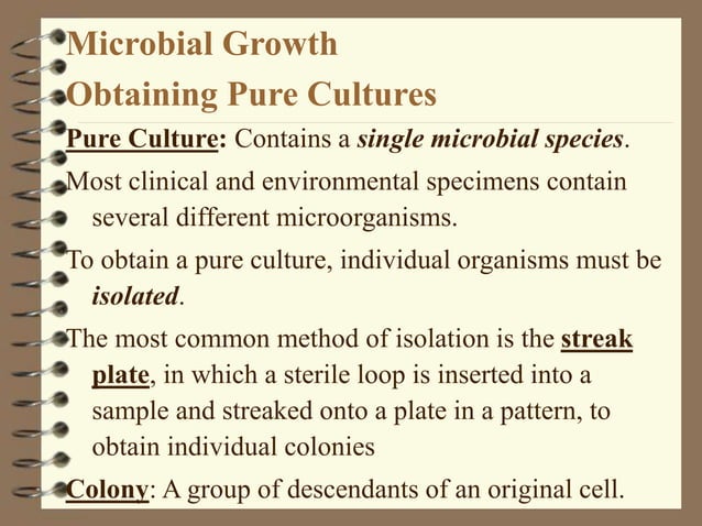 Chapter 6 - Microbial Growth.ppt | Biological Sciences | Science