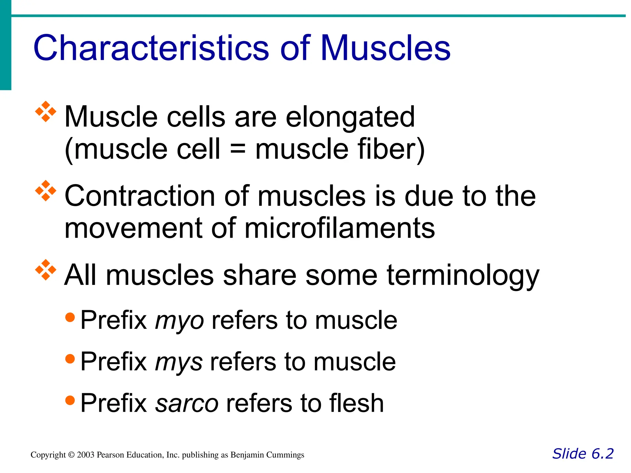Chapter 6 - Muscular system_084918_013832.pptx | Biological Sciences ...