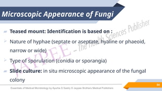 chapter 6 - Overview of Fungal Infections.pptx