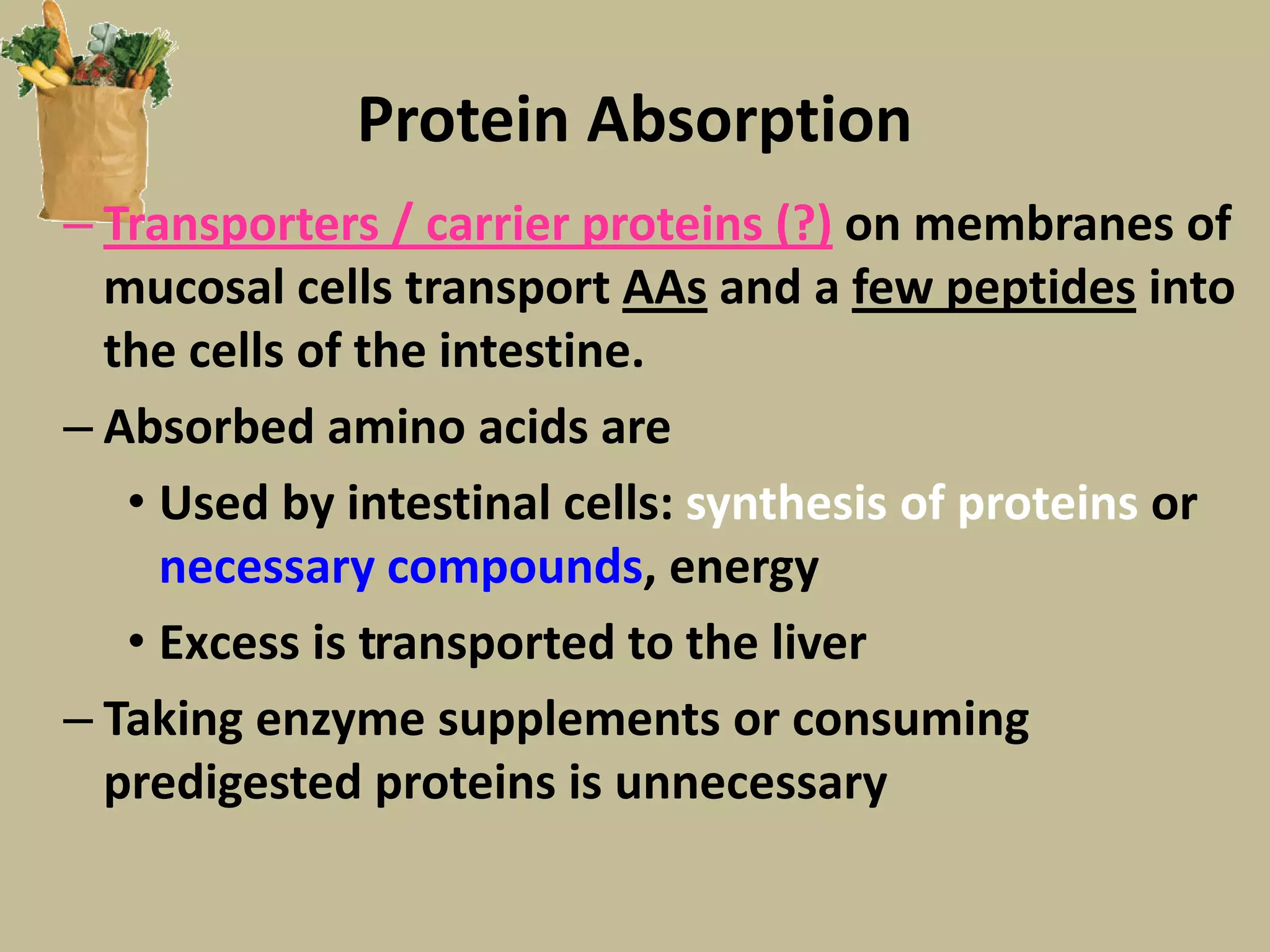 Chapter 6 protein and amino acids | PDF