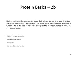 Chapter 6 - Proteins Biochemistry -1- (1) (1).pptx