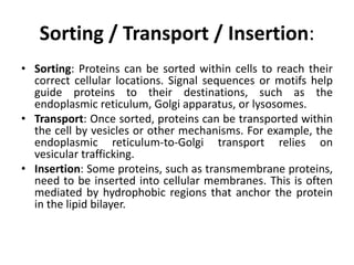 Chapter 6 - Proteins Biochemistry -1- (1) (1).pptx