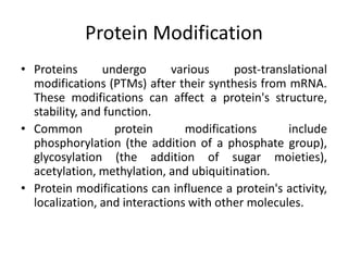 Chapter 6 - Proteins Biochemistry -1- (1) (1).pptx