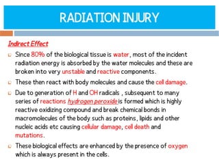 Chapter 6 - Radiation Hazards power point.pdf | Cancer | Diseases and ...
