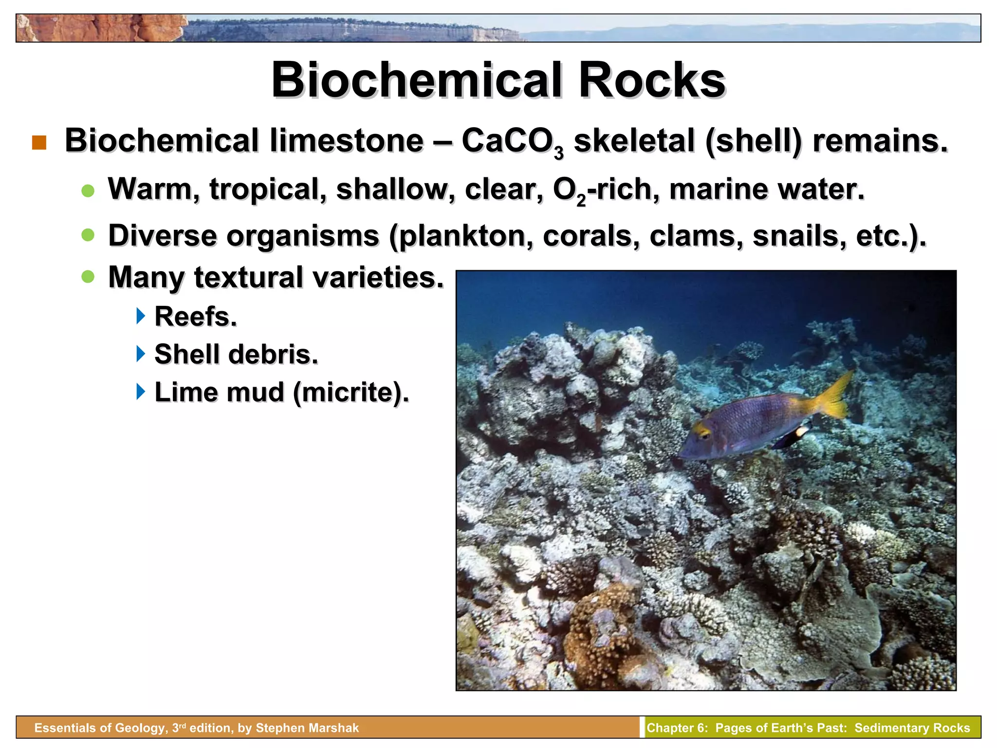 Chapter 6 sedimentary rocks | PPT