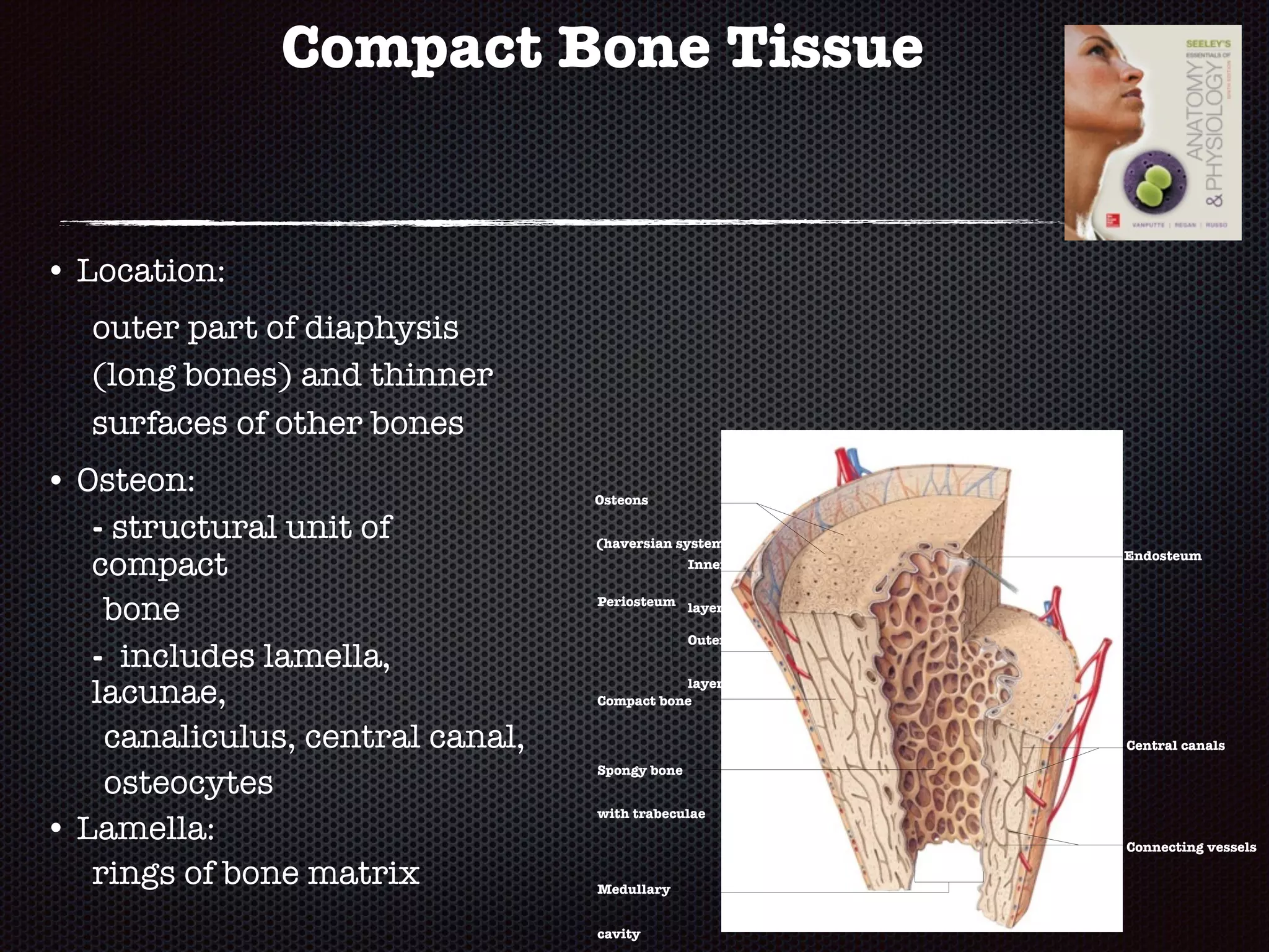 Chapter 6 skeletal | PDF