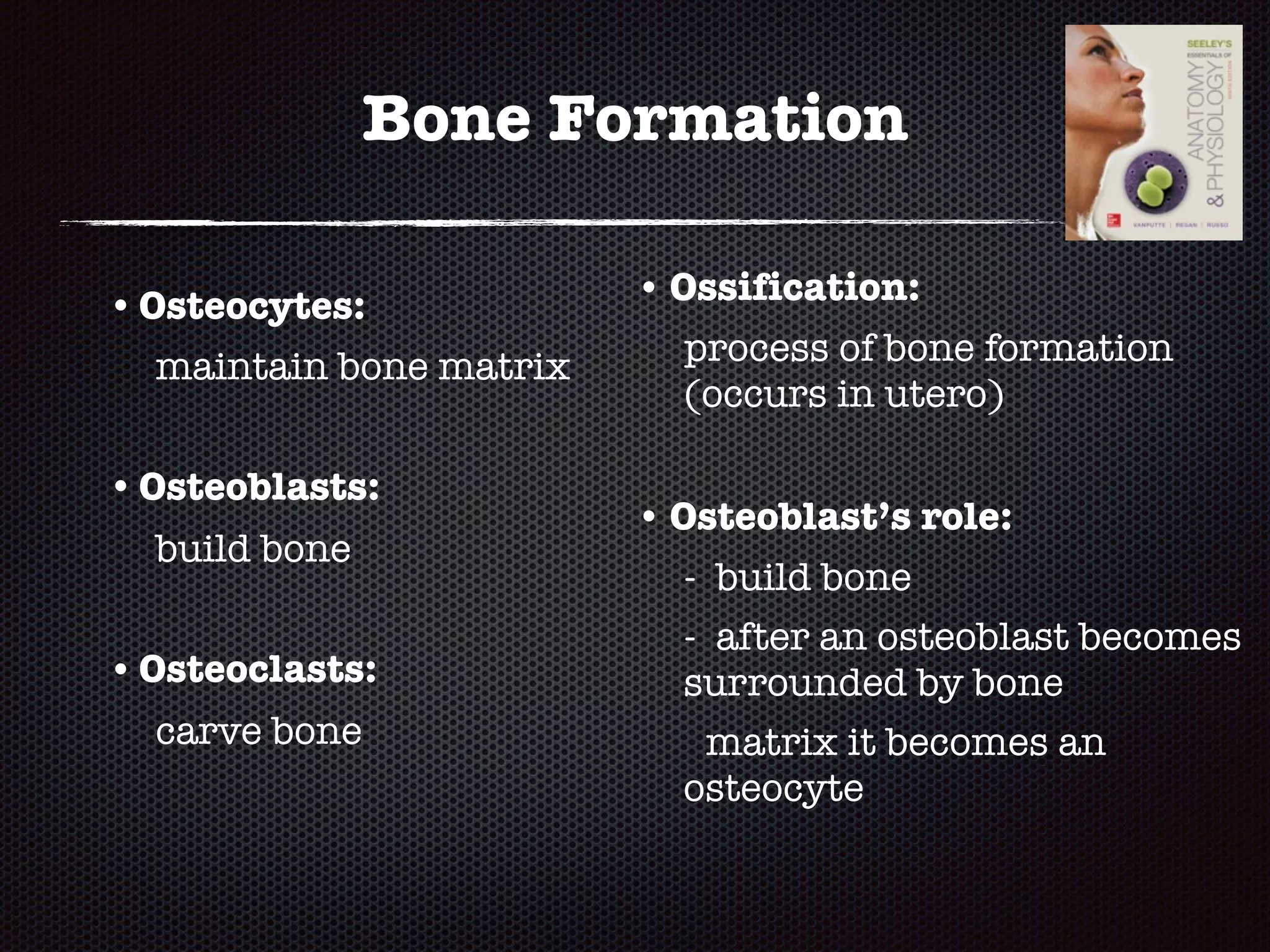 Chapter 6 skeletal | PDF