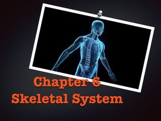 Chapter 6 skeletal | PDF