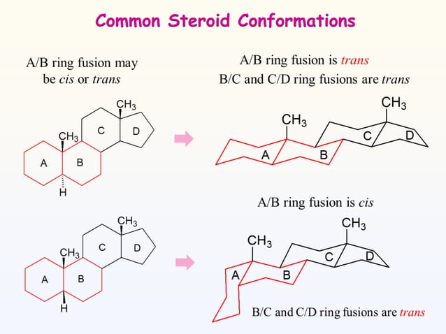 Chapter 6 - Stereochemistry of Fused and Bridged Ring System.pdf