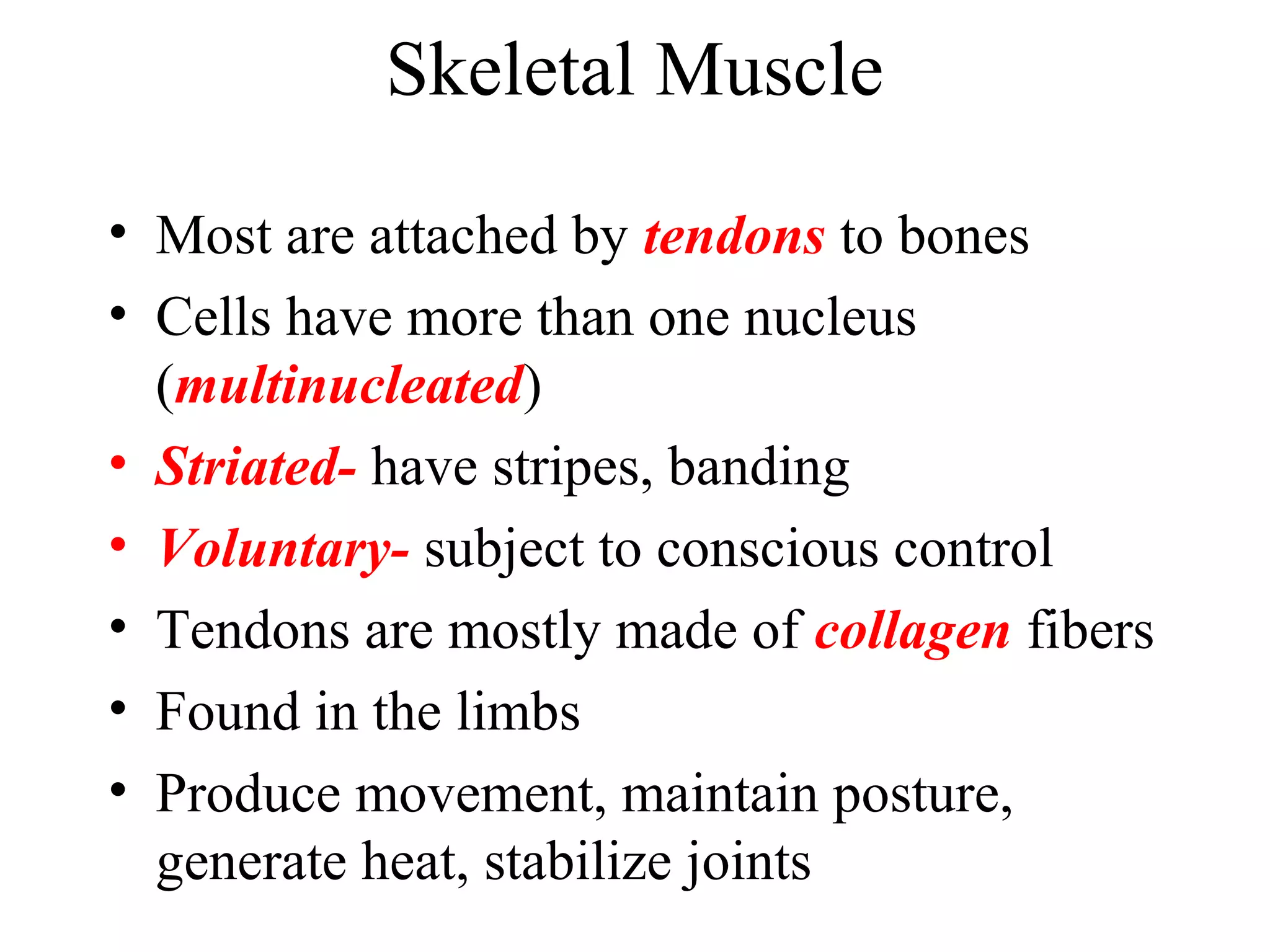 Chapter 6 - The Muscular System | PPT