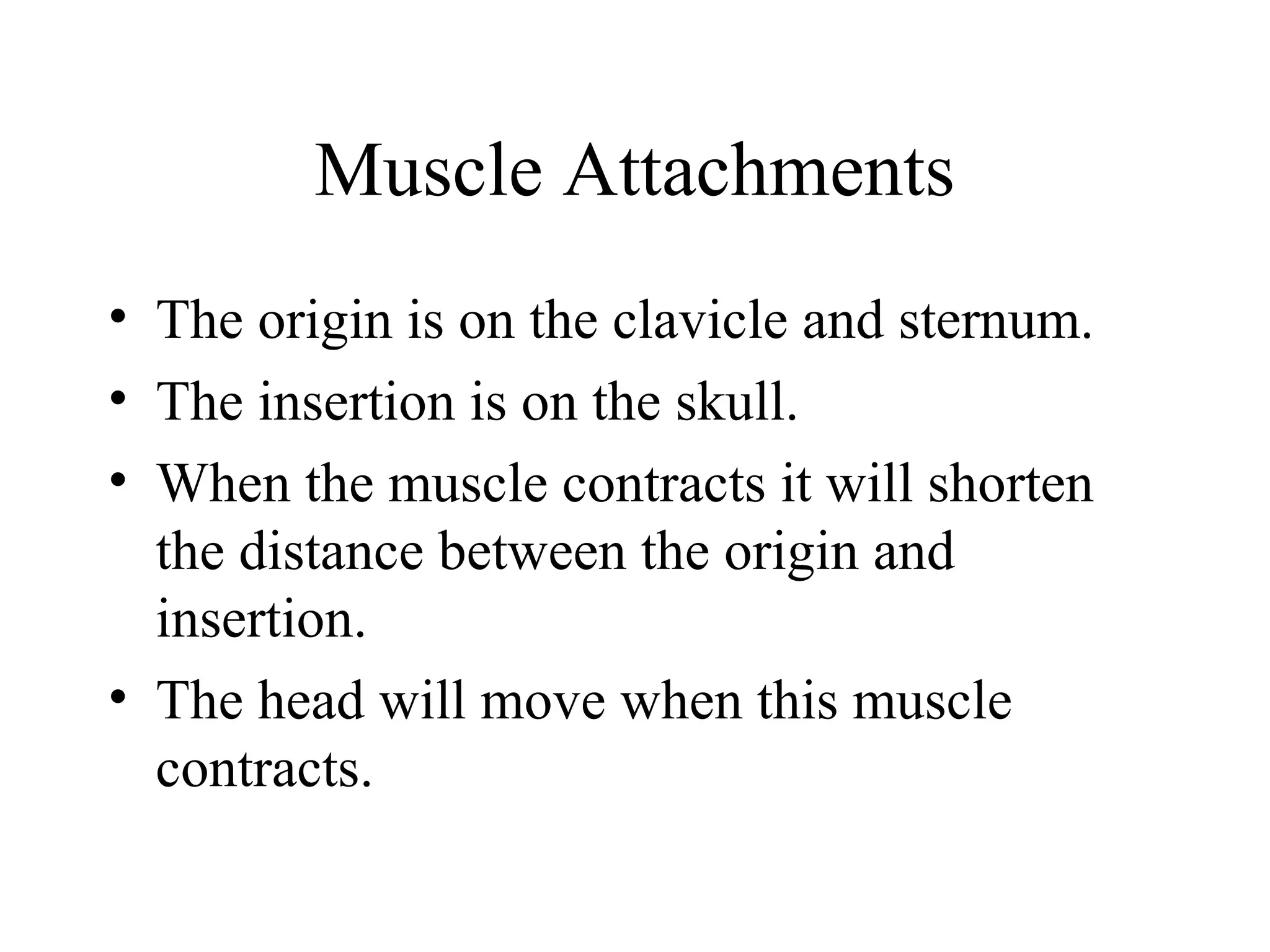 Chapter 6 - The Muscular System | PPT