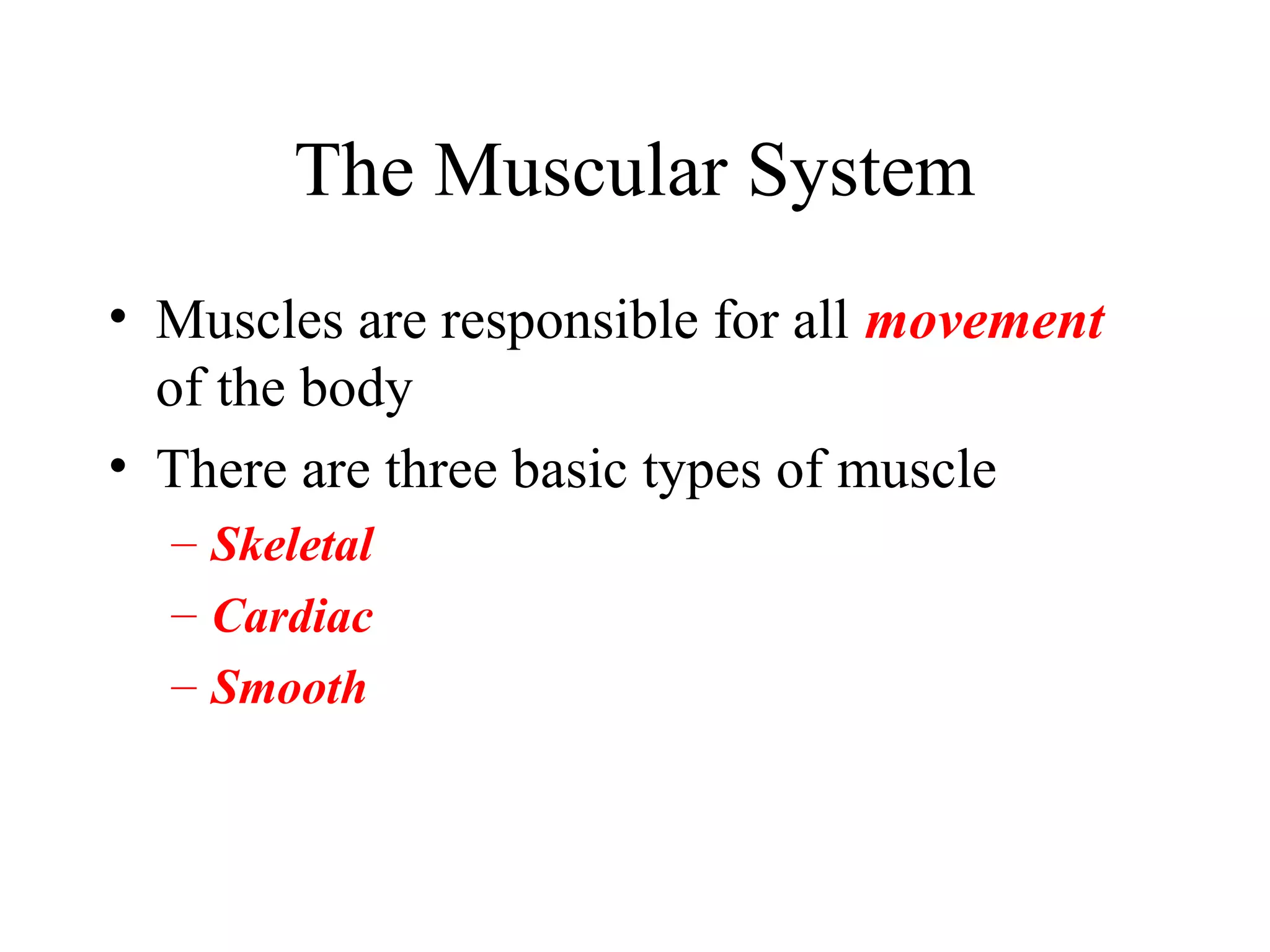 Chapter 6 - The Muscular System | PPT