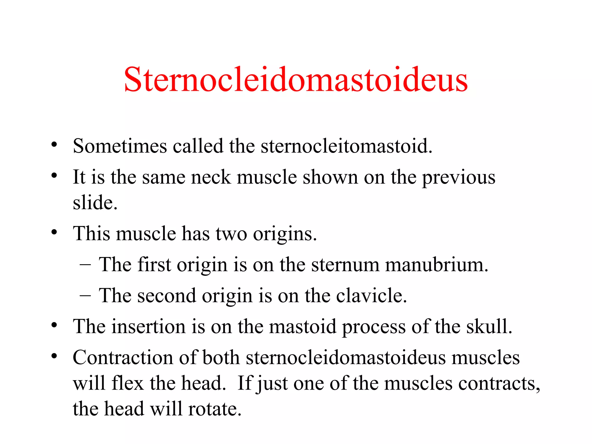 Chapter 6 - The Muscular System | PPT