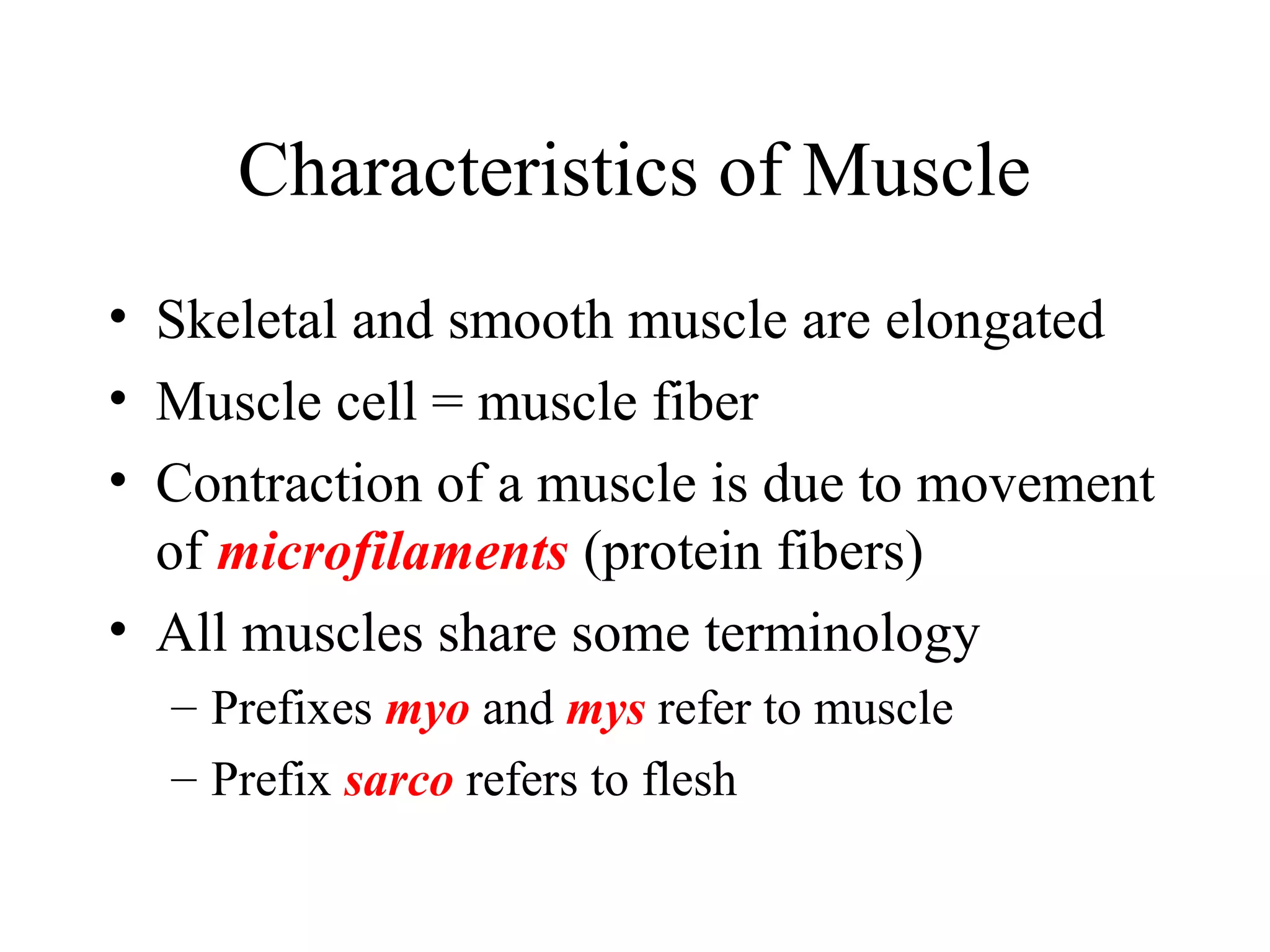 Chapter 6 - The Muscular System | PPT