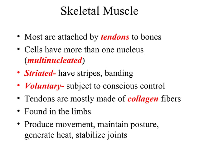 Chapter 6 - The Muscular System | PPT