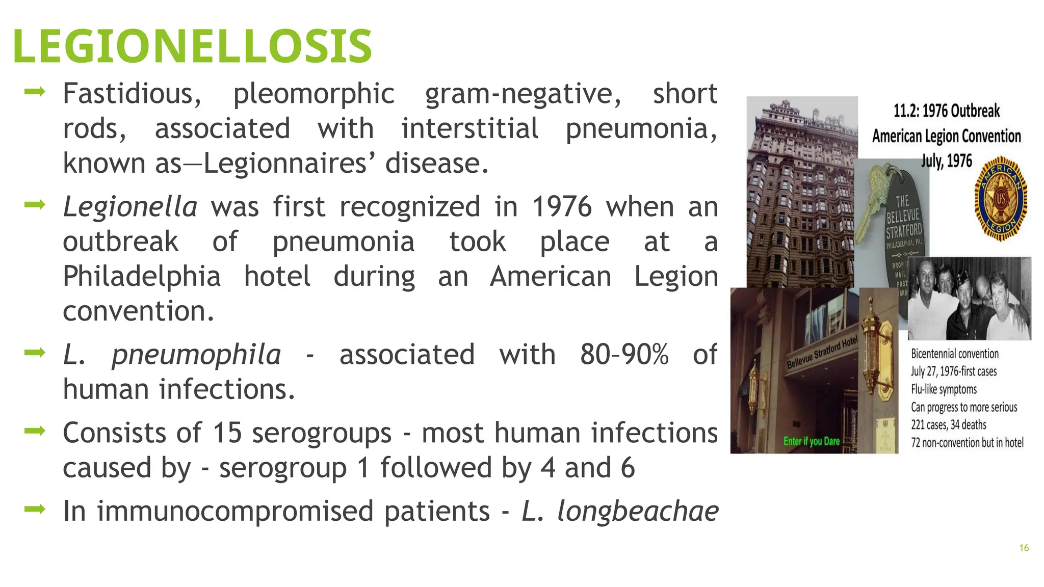 chapter 62 - Bacterial Atypical pneumonia.pptx
