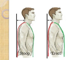chapter 6 analyse fit model last material.ppt