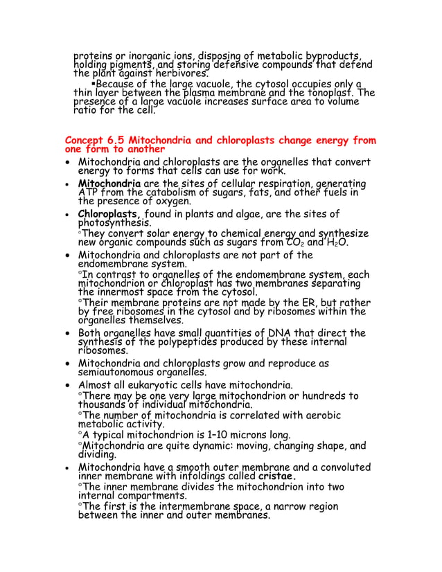Chapter6 Ap Bionotes A Tour Of The Cell | DOC