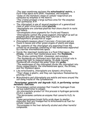 Chapter6 Ap Bionotes A Tour Of The Cell | DOC