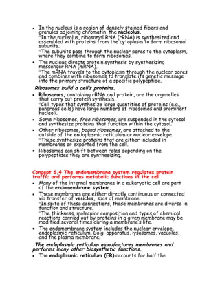 Chapter6 Ap Bionotes A Tour Of The Cell | PDF