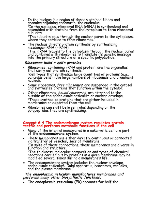 Chapter6 Ap Bionotes A Tour Of The Cell | DOC