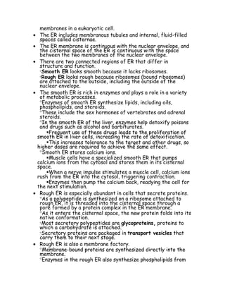 Chapter6 Ap Bionotes A Tour Of The Cell | PDF