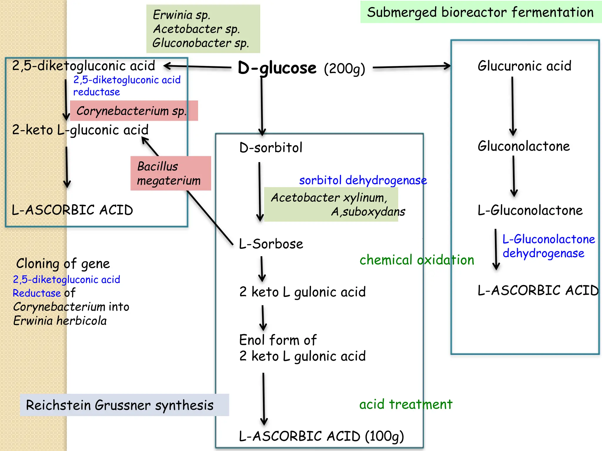 Chapter 6 Application of microbes in medical biotechnology.pptx