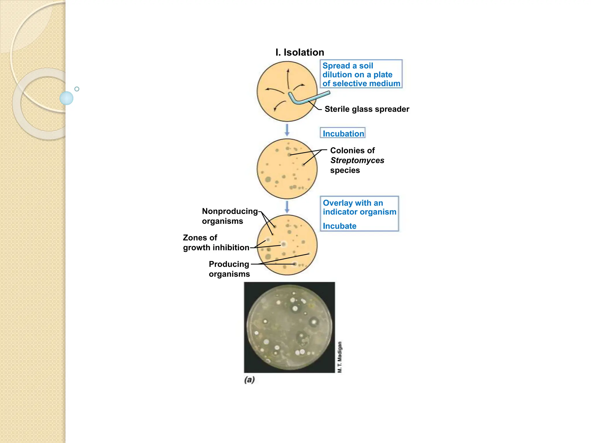 Chapter 6 Application of microbes in medical biotechnology.pptx ...