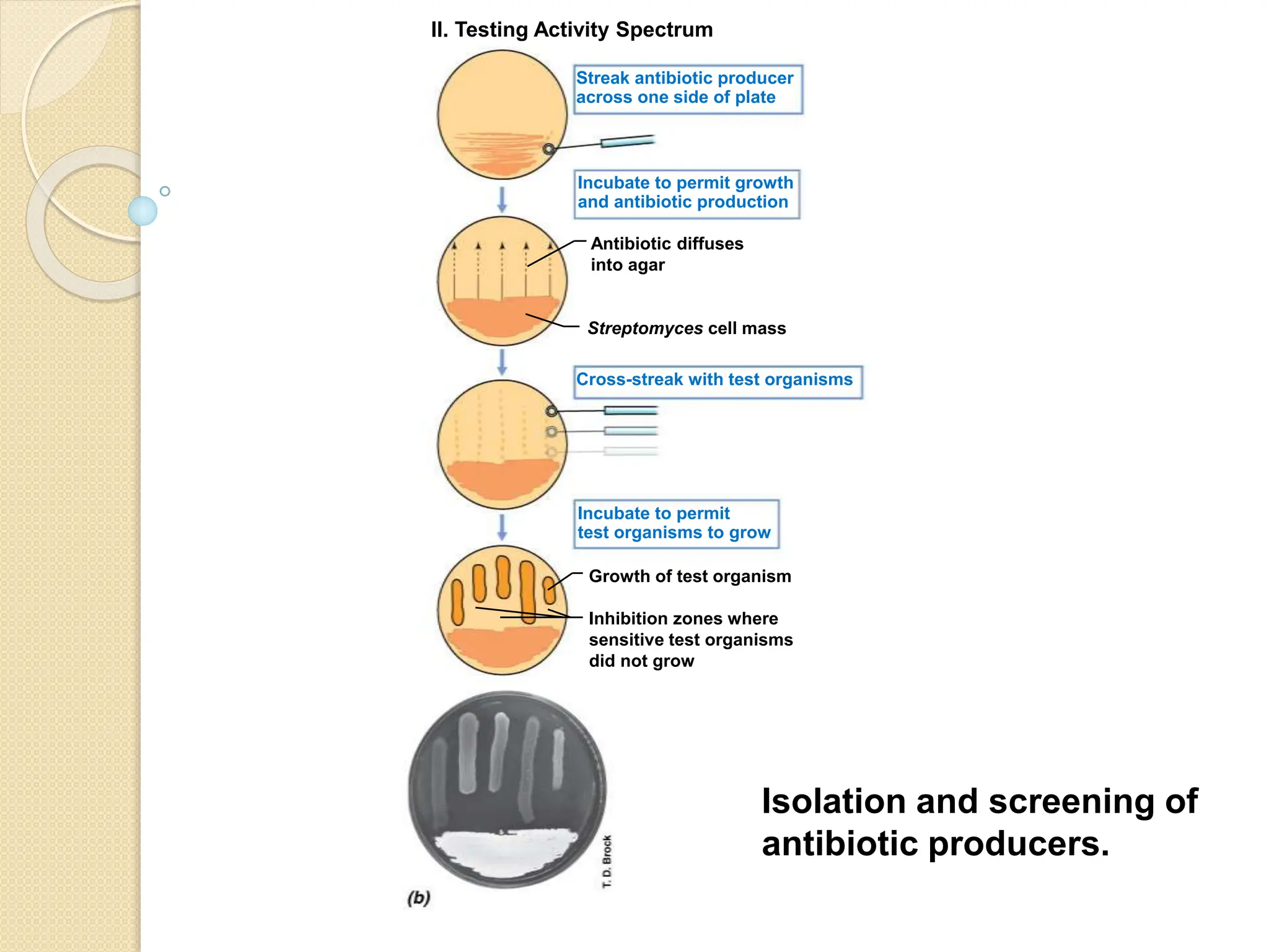Chapter 6 Application of microbes in medical biotechnology.pptx ...