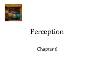 Chapter 6 ap psych- Perception | PPT