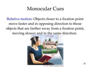 Relative Motion Psychology