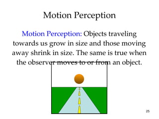 Perception Of Motion