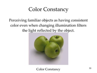Color Constancy Psychology