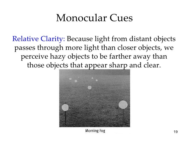 Chapter 6 ap psych- Perception
