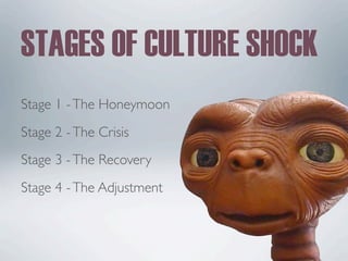 Hofstede's dimensions of cultural variability | PDF