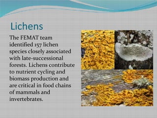 Chapter 6 biodiversity of old forest | PPT