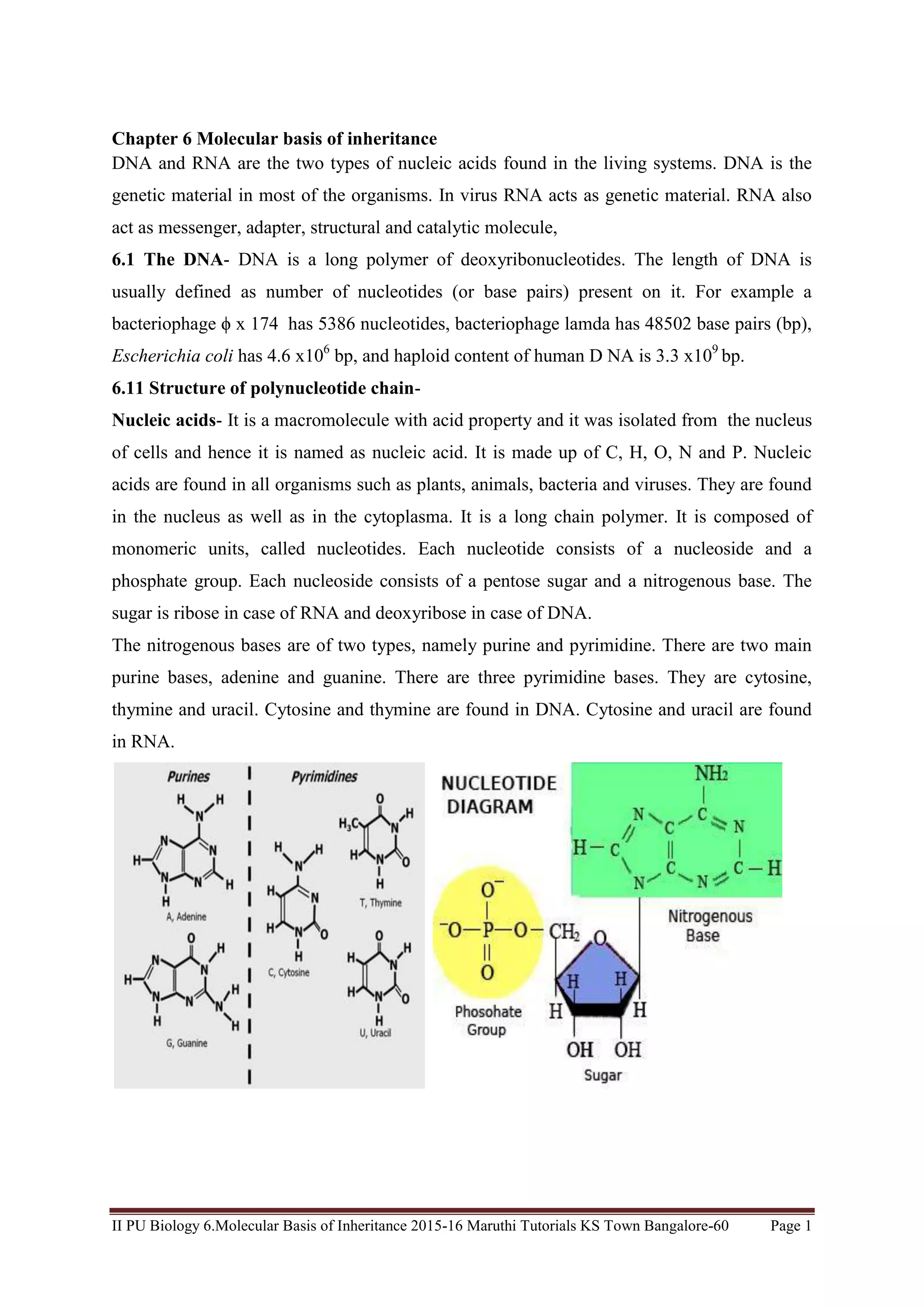 Chapter 6 biology 20 12-15 | PDF